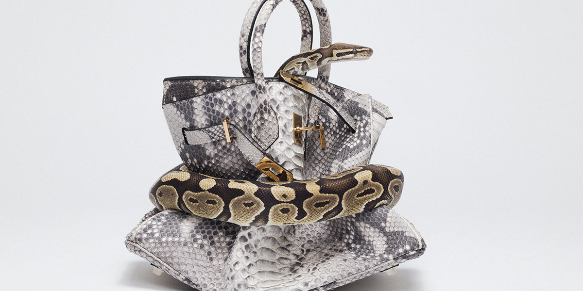 Python Birkin II, 2016 | Tyler Shields– GALLERY M